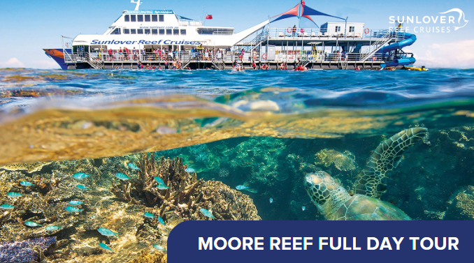 Sunlover Reef Cruises